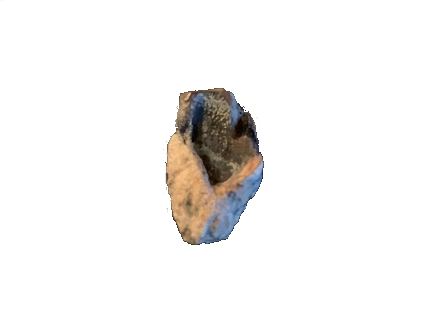 Dinosaur Fossils – M&M Fossils